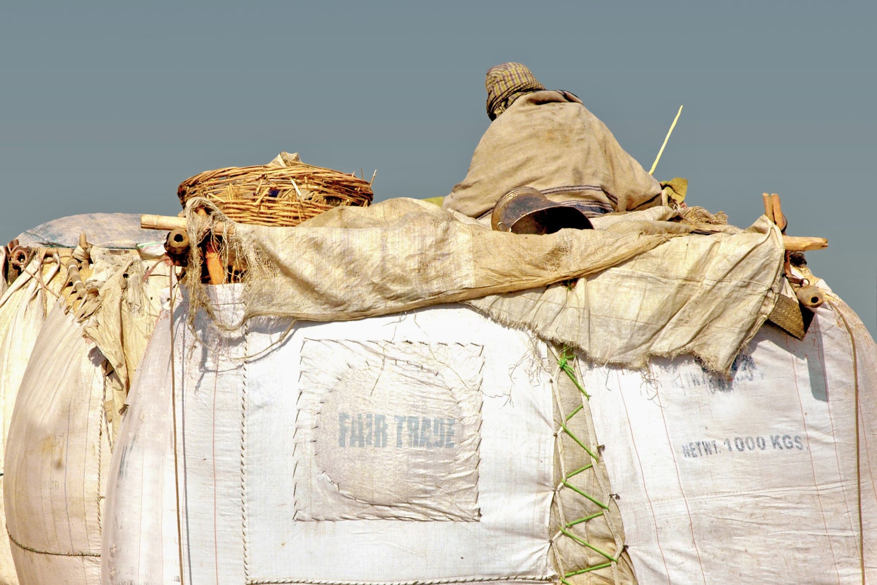 Die Geschichte des Fairtrade-Siegels: Was es bedeutet und warum es wic ...